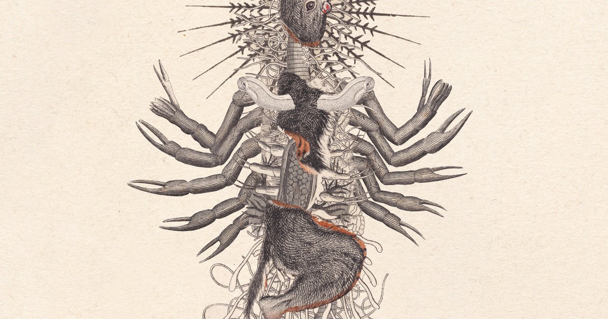 L'AZILE LE + SÛR: L'AZILE LE PLUS SÛR - ETAGE 12 PORTE 48 (version ...