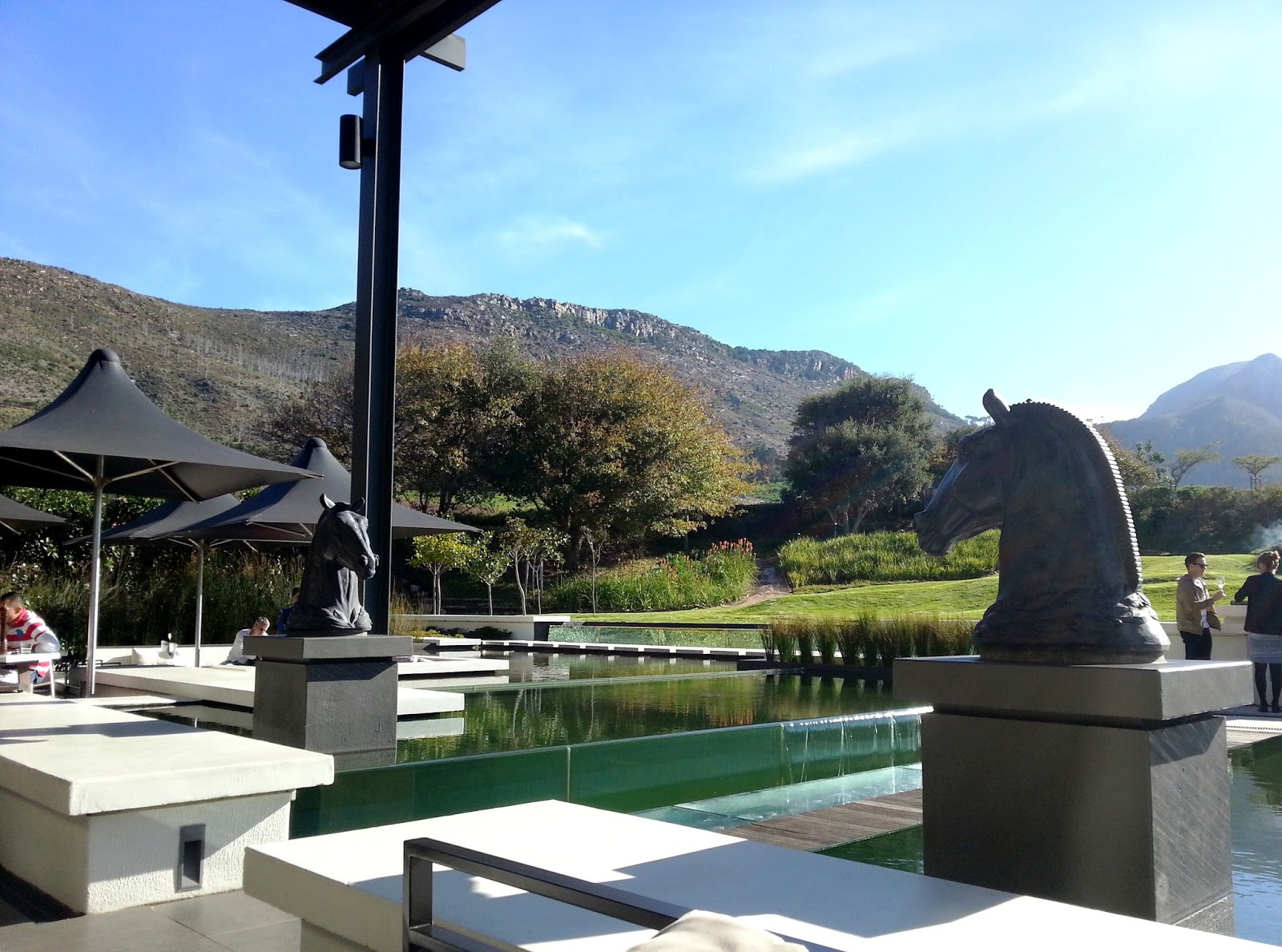 A Good Year: Steenberg Wine Farm, Constantia