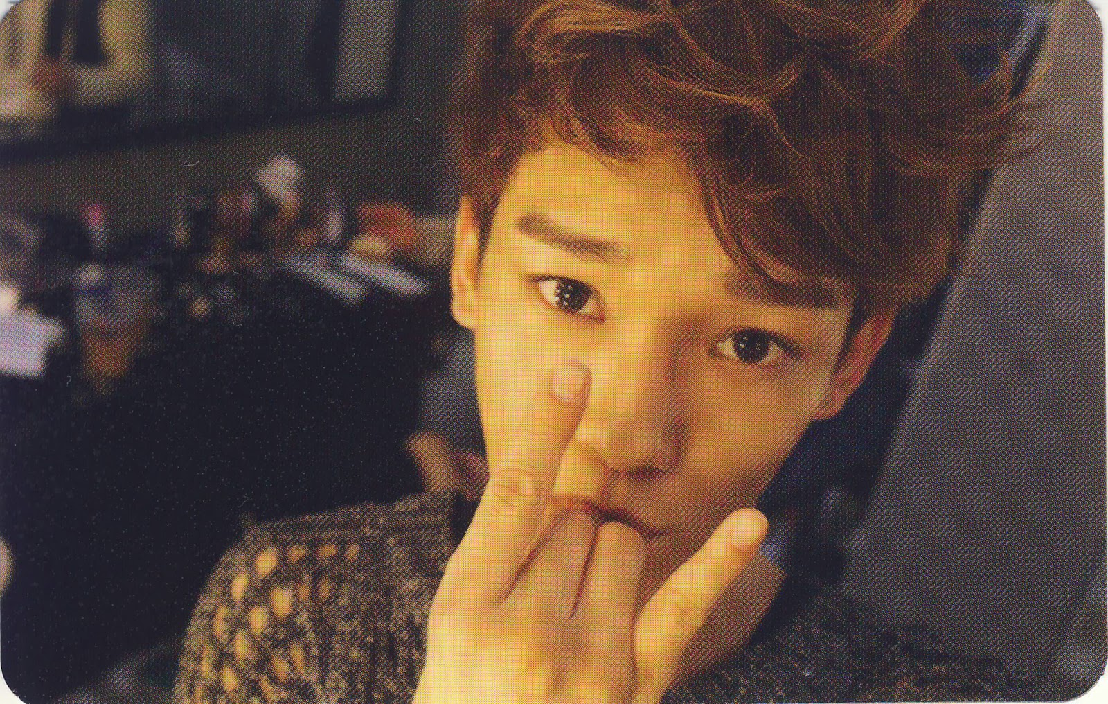 kpop scans: Chen ( exo ) xoxo membercard + autograph