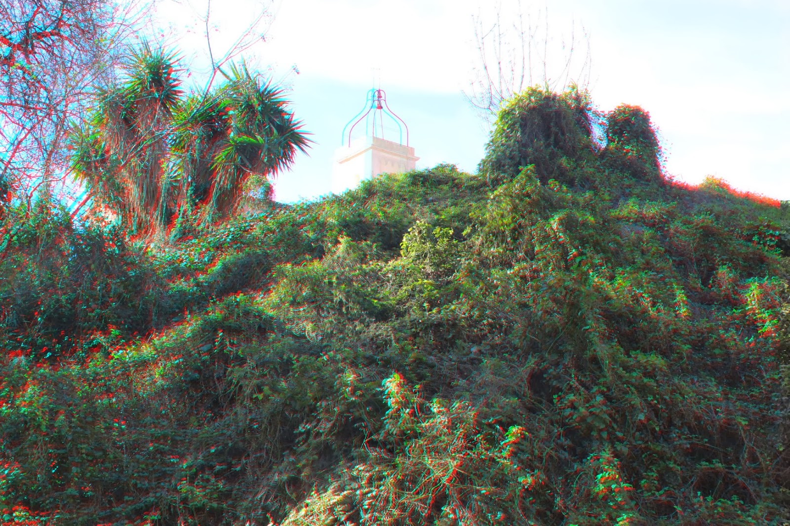 EL ANIMAL INVISIBLE: Enseñanzas artísticas y estereoscopia. Fotografía ...