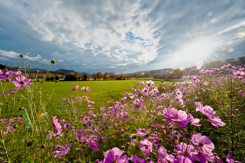 SLIKE I DOGADJAJI: August 2016