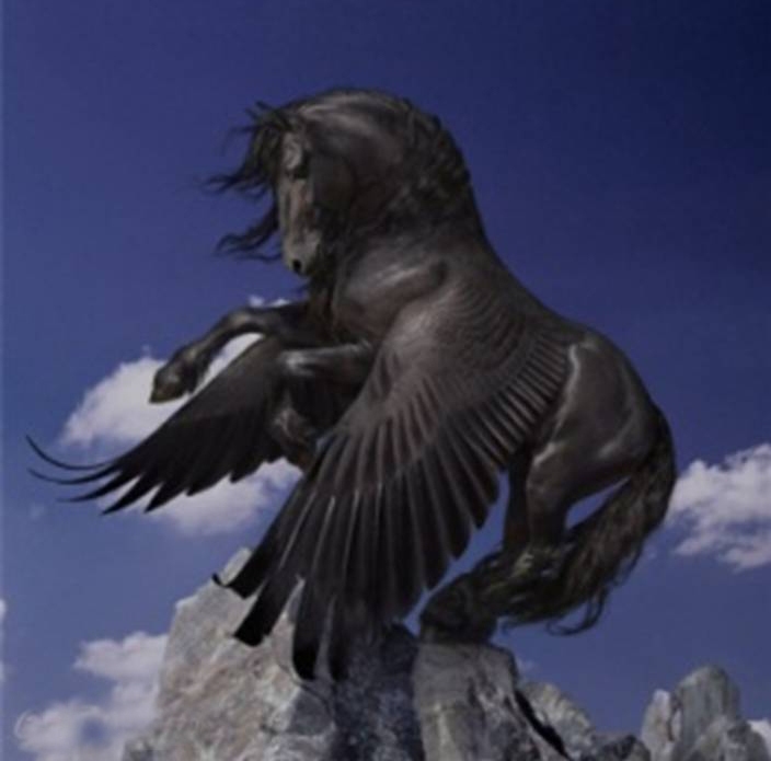 ACADEMIA PEGASUS: HISTÓRIA DA PEGASUS