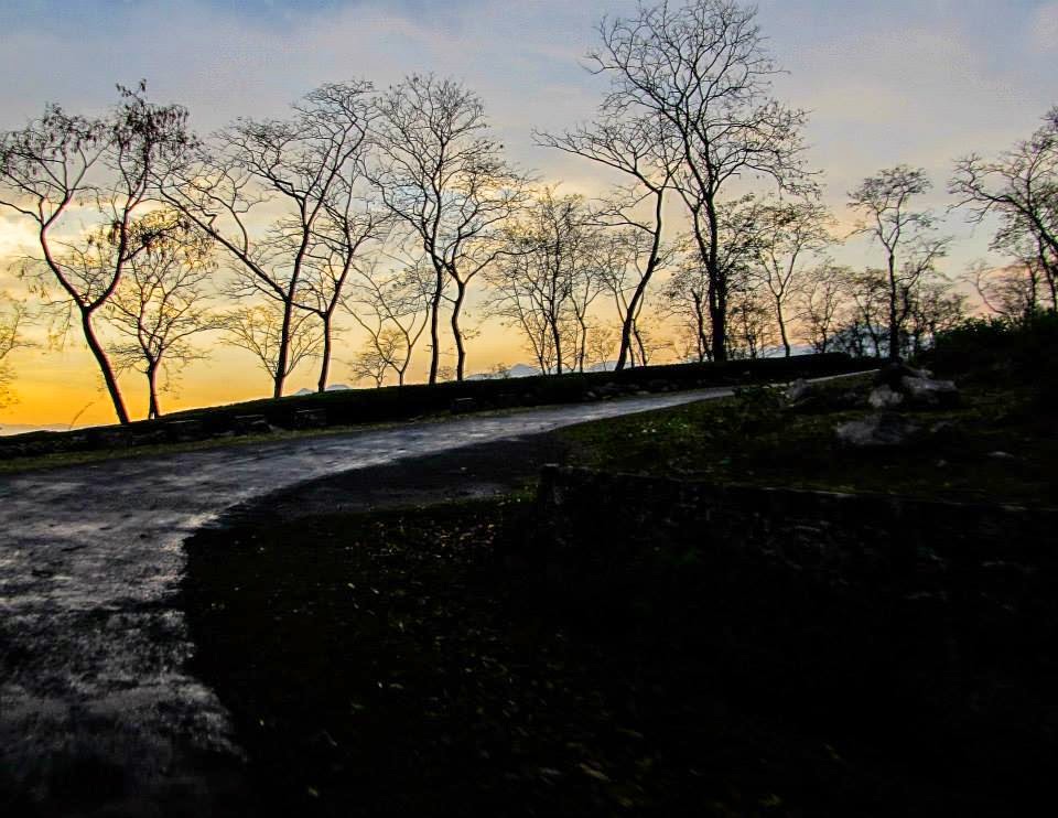 NACHER WALLPAPERS | Goods Wallpaper