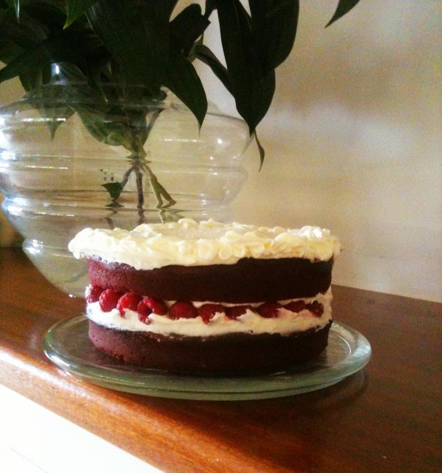 Jo's Blue AGA: Raspberry Red Velvet