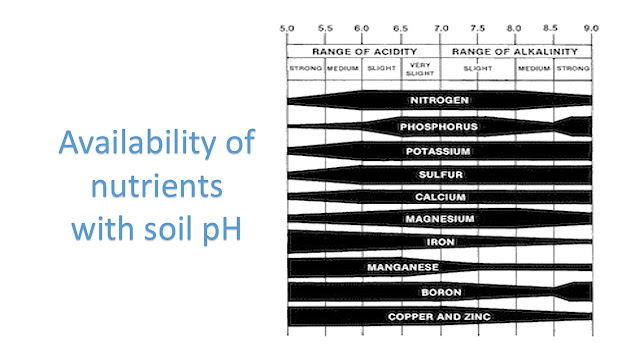 Soil pH and Vegetable Crops ~ A2Z Veg-Science