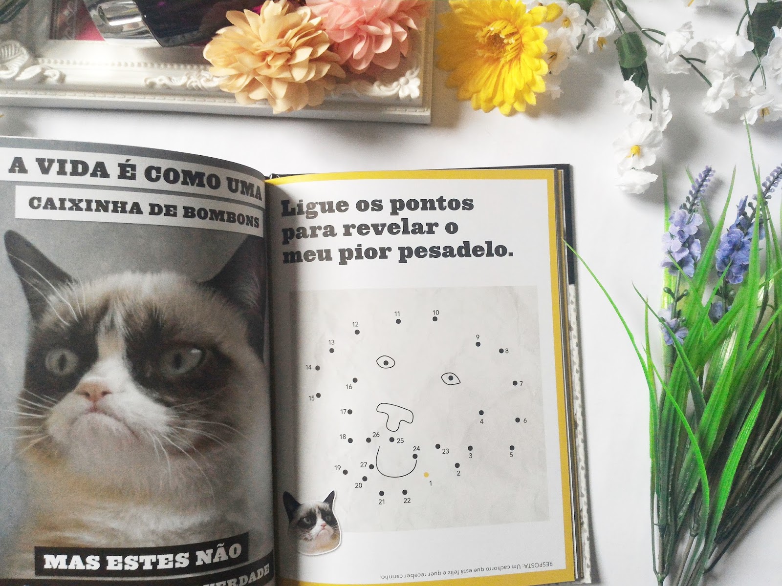 [Resenha #1145] Grumpy Cat - Um Livro Azedo @belasletras / Rotina Agridoce