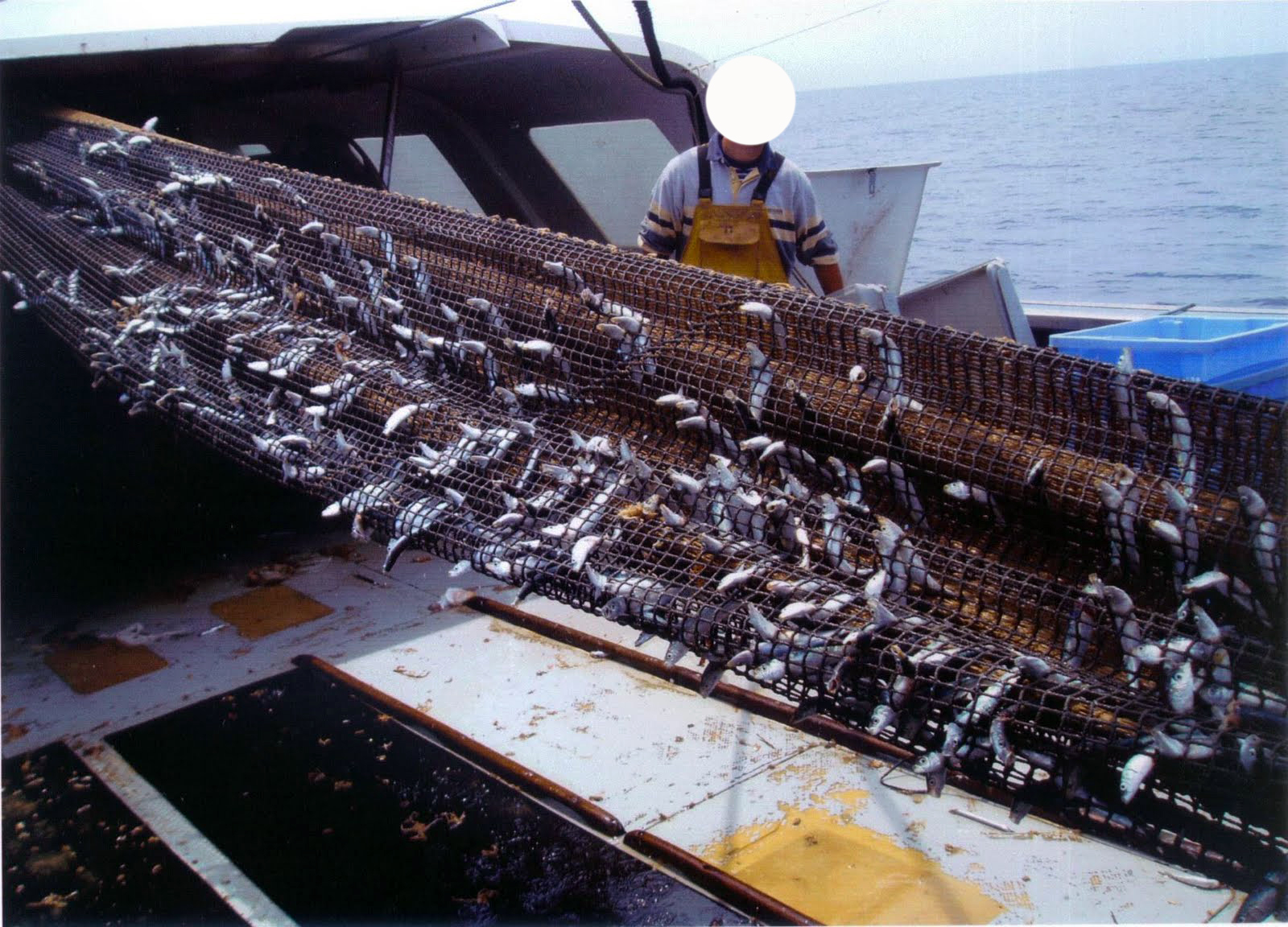 Pesca de arrastre o pesca de bou en el Mediterráneo