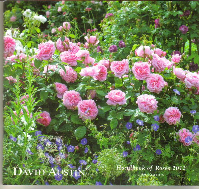 Samplings from Spring Creek: David Austin Roses
