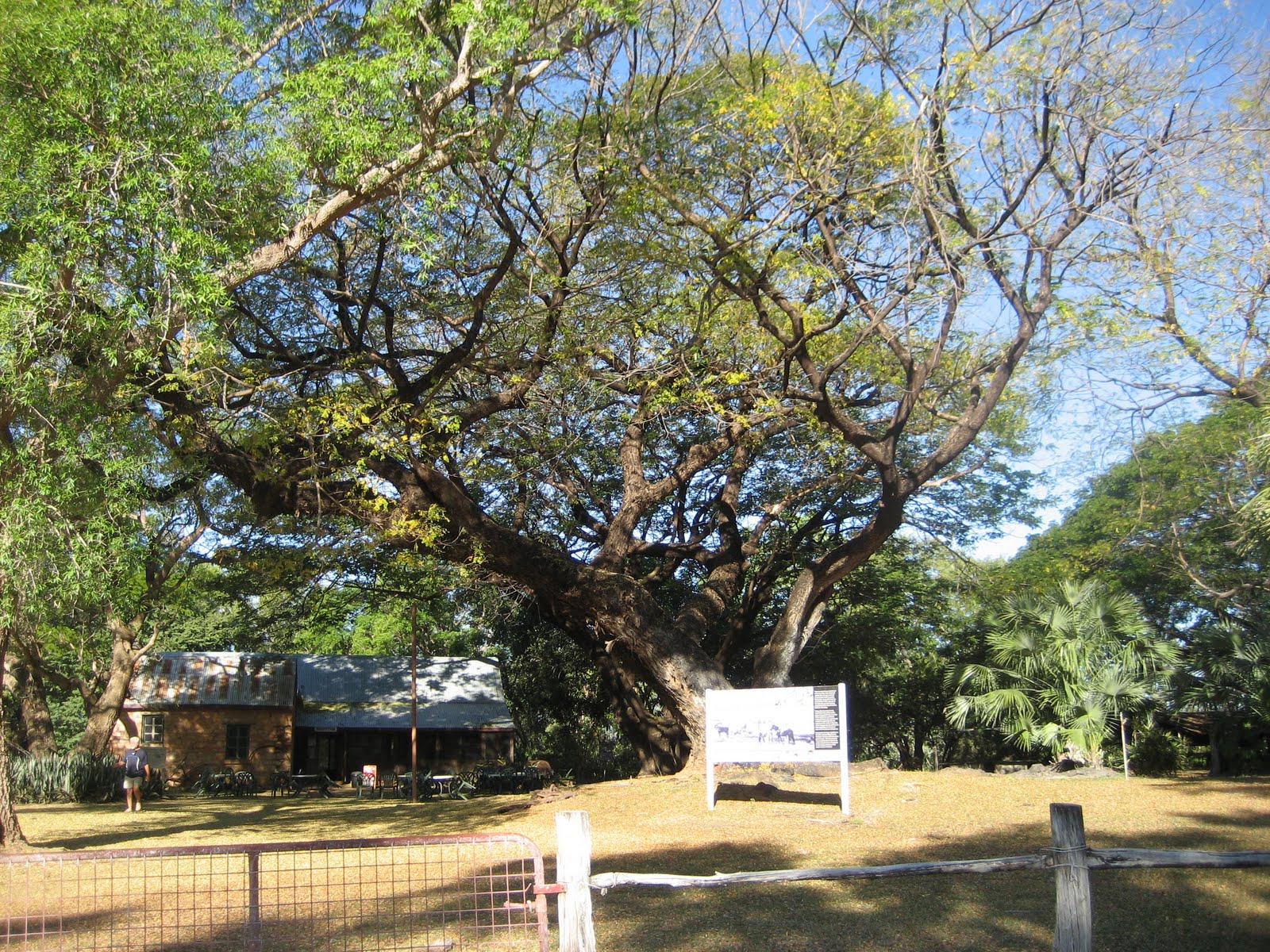 The Wandering 2's: Katherine - NT- Springvale Homestead