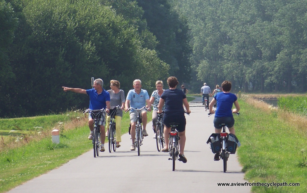 A view from the cycle path: How bidirectional cycle-paths improve ...