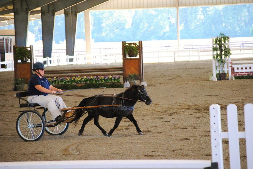 One Equestrian's Journey: Dedication of the Suzanne Mott Dansby Arena