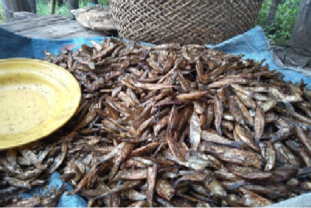 √ Ikan Salai Khas Borneo Dari Proses Hingga Kirim Keluar Negeri