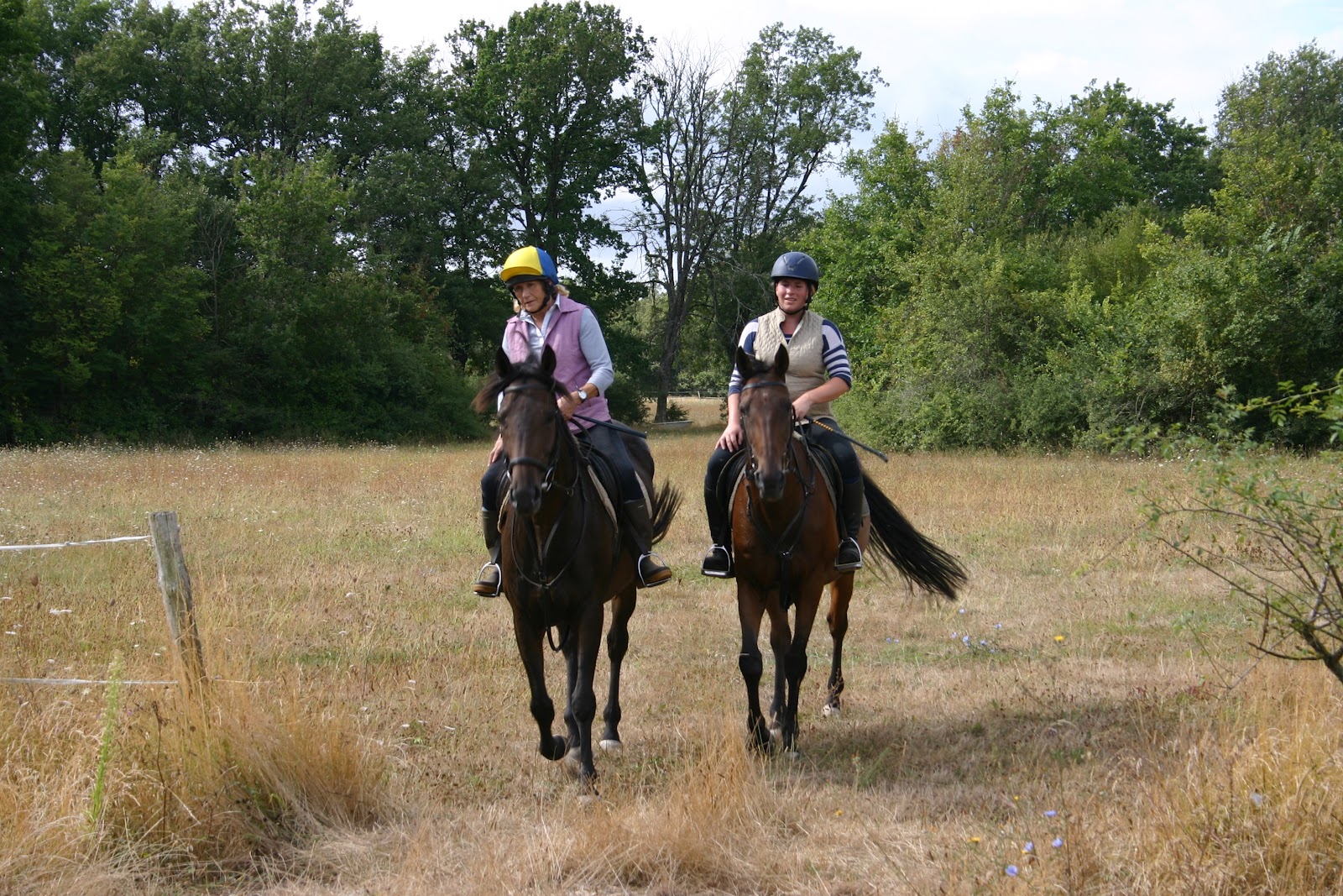 Retrained Retired Racehorses in the South East: Ellen Collinson ...