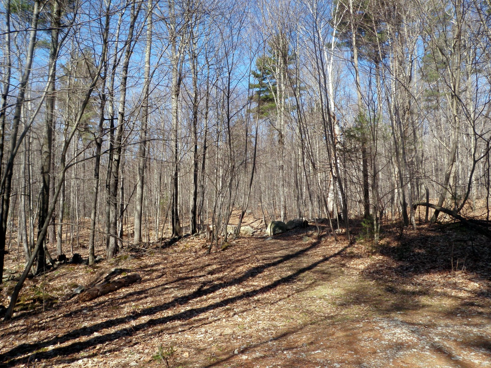 An Idiots Guide to Peakpagging and Hiking in New England: Hall Mountain ...