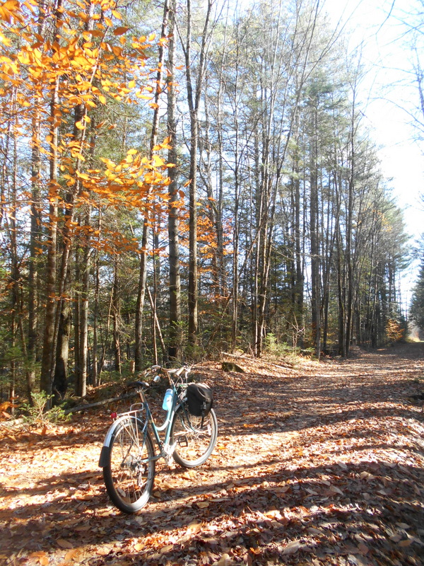 anniebikes: Montpelier-Wells River Rail Trail in Groton State Forest