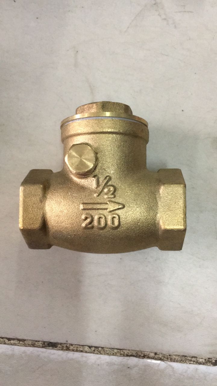 Sambungan Rumah PDAM: Check Valve dan Plug Kran