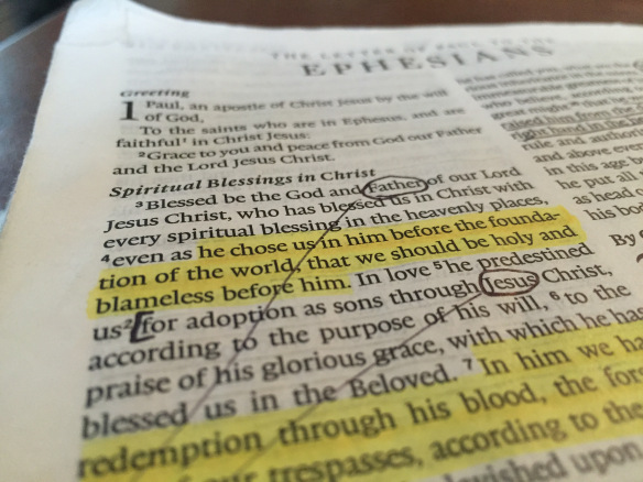 Common Grace Deliberations: FAQ – Predestination, Election, Reprobation ...