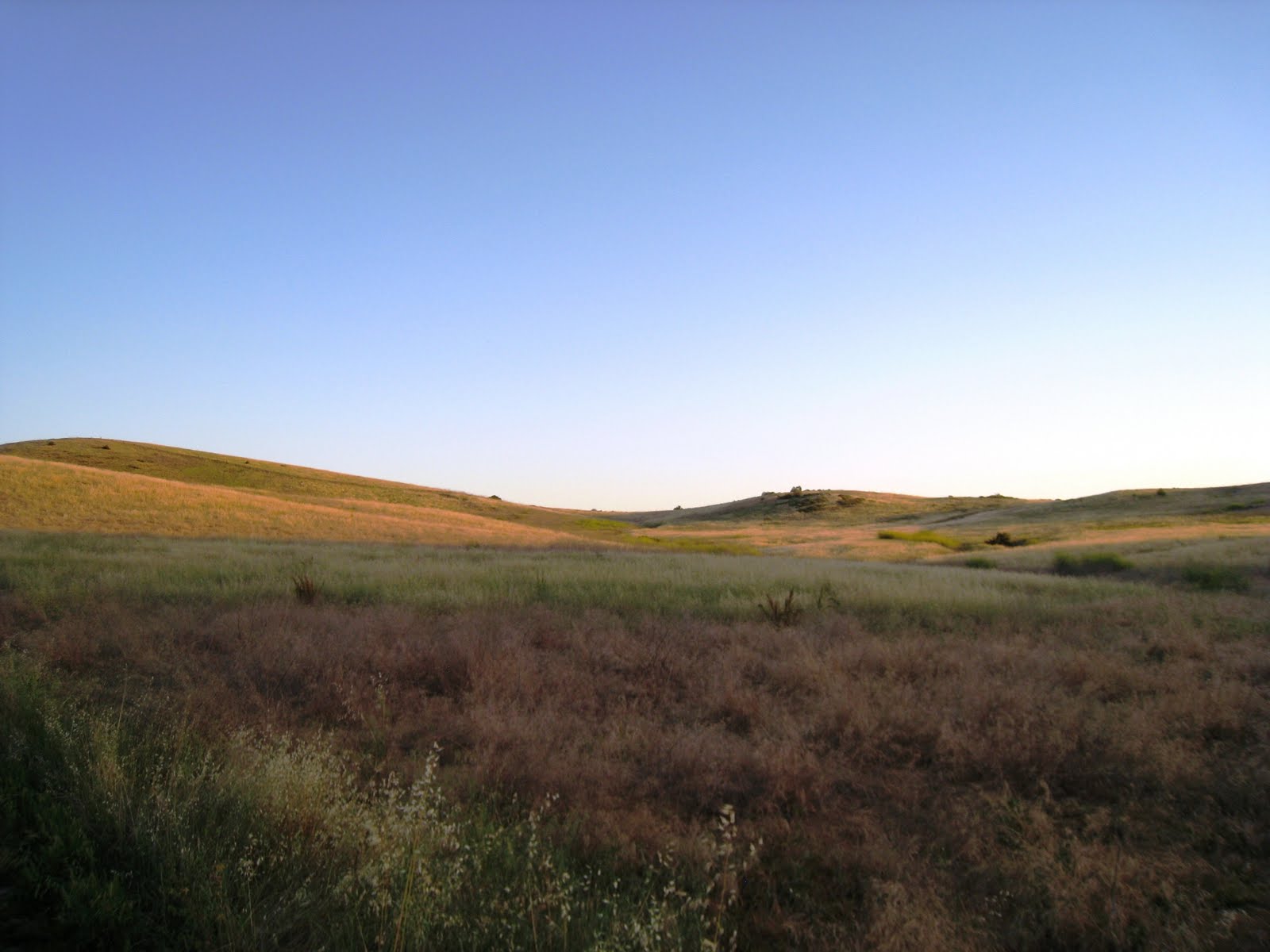 Quail Hill Loop (City of Irvine Open Space)