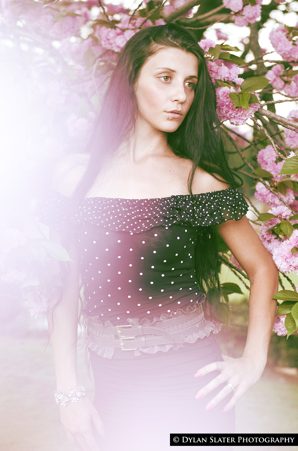 Dylan Slater Photography