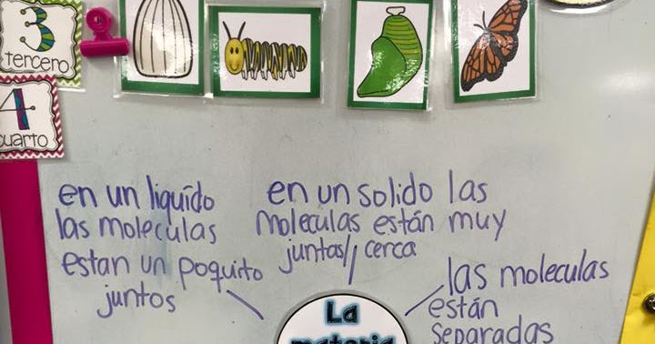 Learning Bilingually: States of Matter Mini-Unit