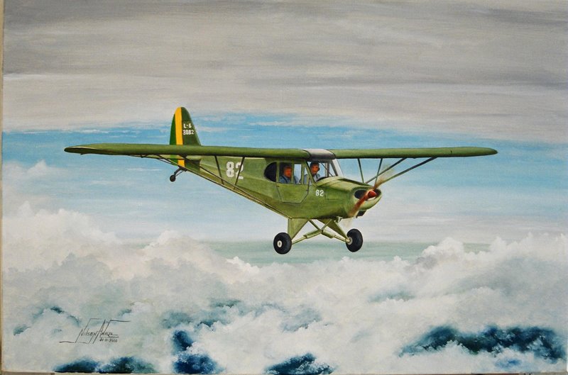 NELSON ANAYA - A ARTE AERONÁUTICA