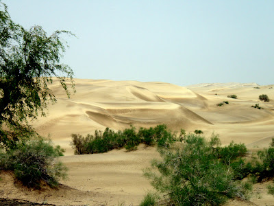 Pakistan : World's 9th Largest Subtropical Desert, Thar Desert, Sindh ...