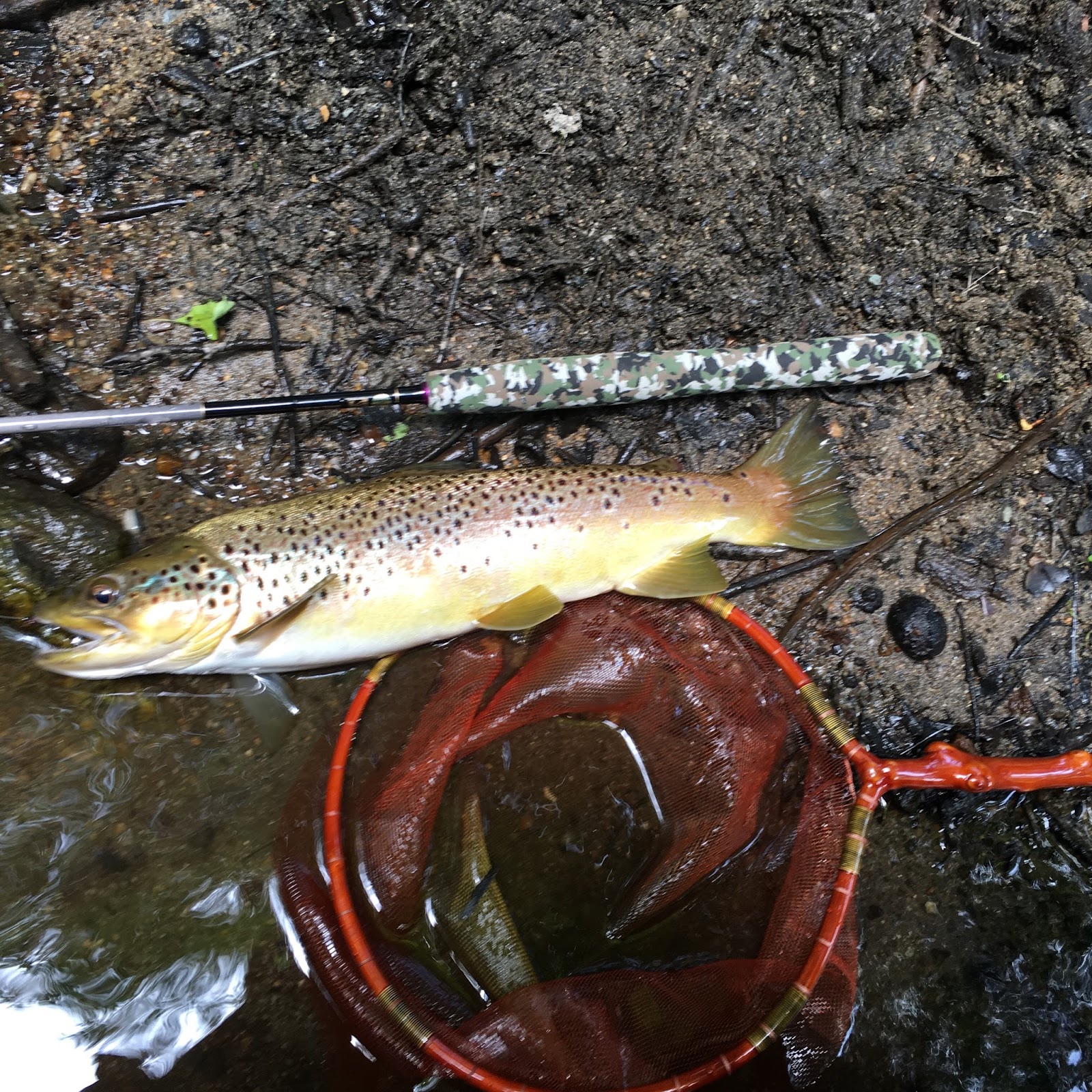 Of Rock & Riffle: Escaping the low and slow flows of summer...