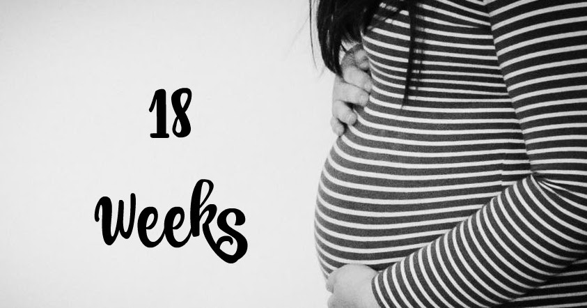 PREGNANCY #2: 18 Week Update | Treasure Every Moment