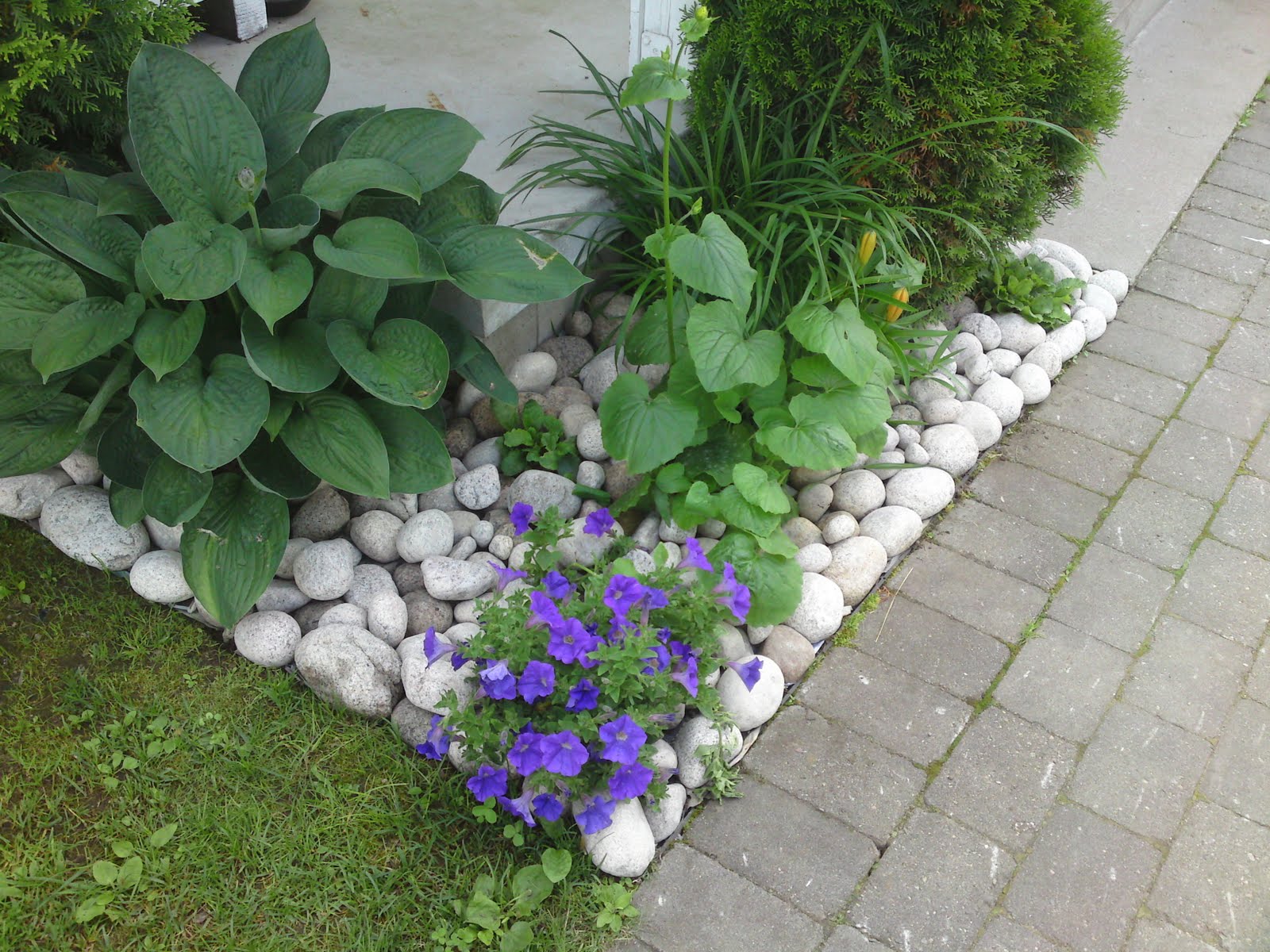 MONICAS HJØRNE: lettstelt blomsterbed.