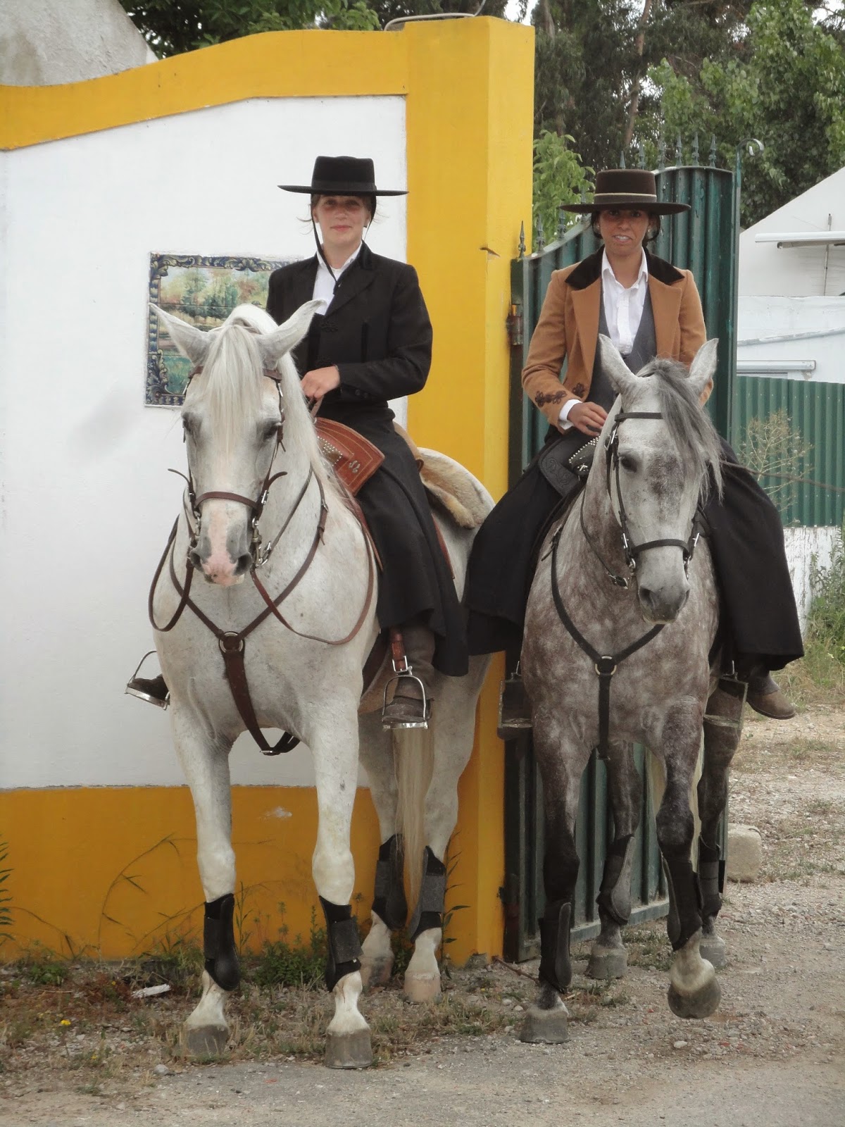 Crinus - Actividades Equestres: Aulas de Equitação