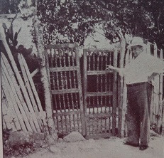 letrasenelojo: El moribundo bosque del sabio José Celestino Mutis