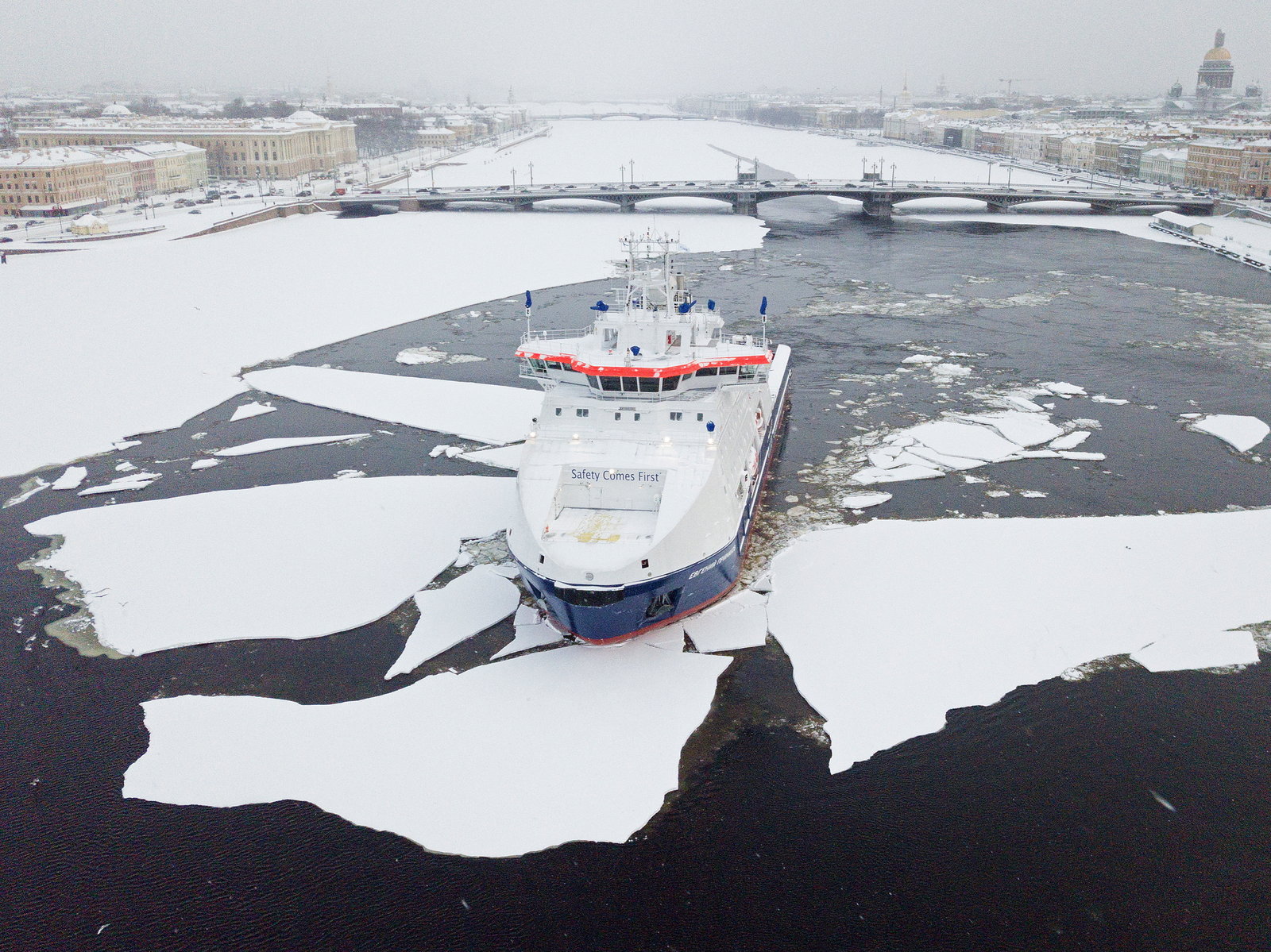 Sea Save Foundation "Ocean Week in Review" August 24, 2018: We Gather ...