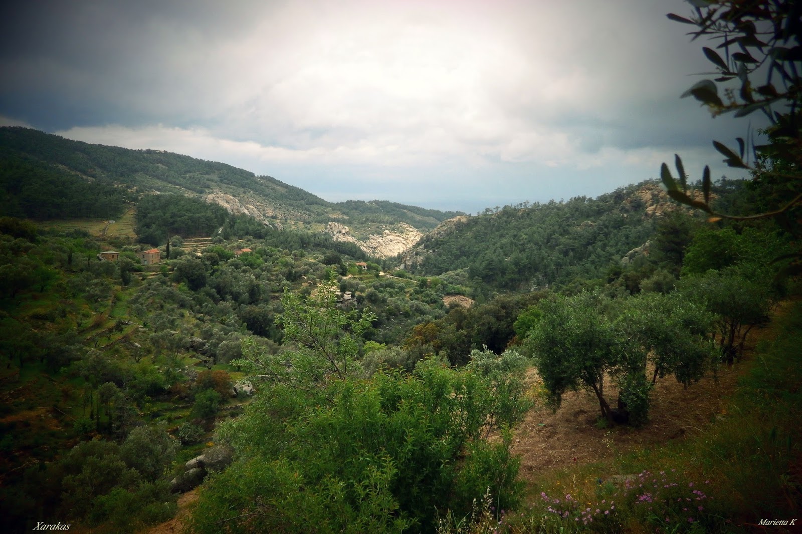 Άρωμα Ικαρίας: Καλημέρα