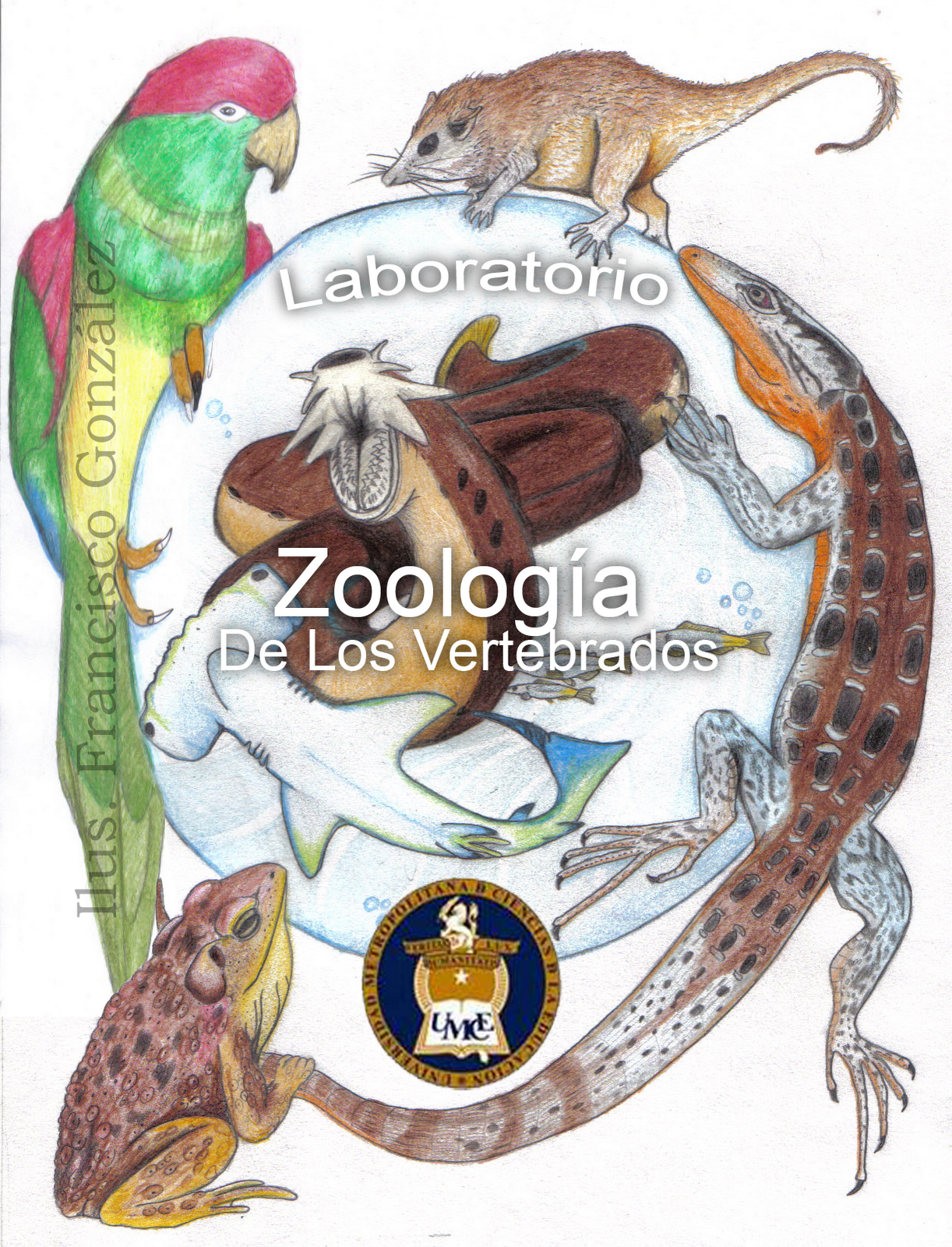 Guia Practica de Zoología II