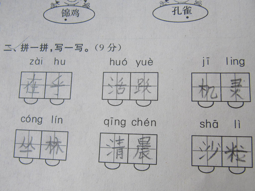 Chinese Basics for VIPKID Teachers: Pinyin [Chinese words, Roman ...