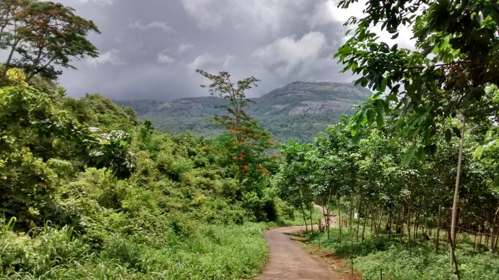 Tamilnadu Tourism: Perunchani Dam, Kalkulam, Kanyakumari