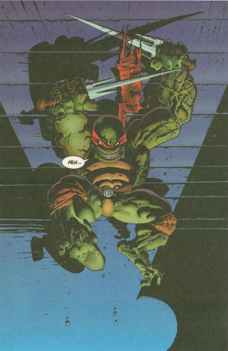TMNT Entity: Casey Jones & Raphael #1 / Bodycount #1