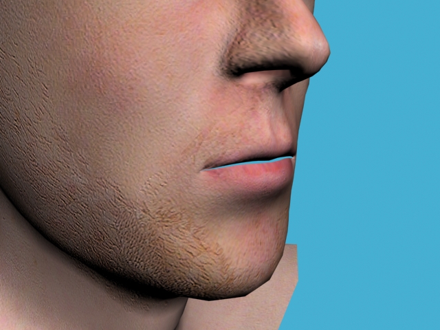 Virtual Environments: Bump map