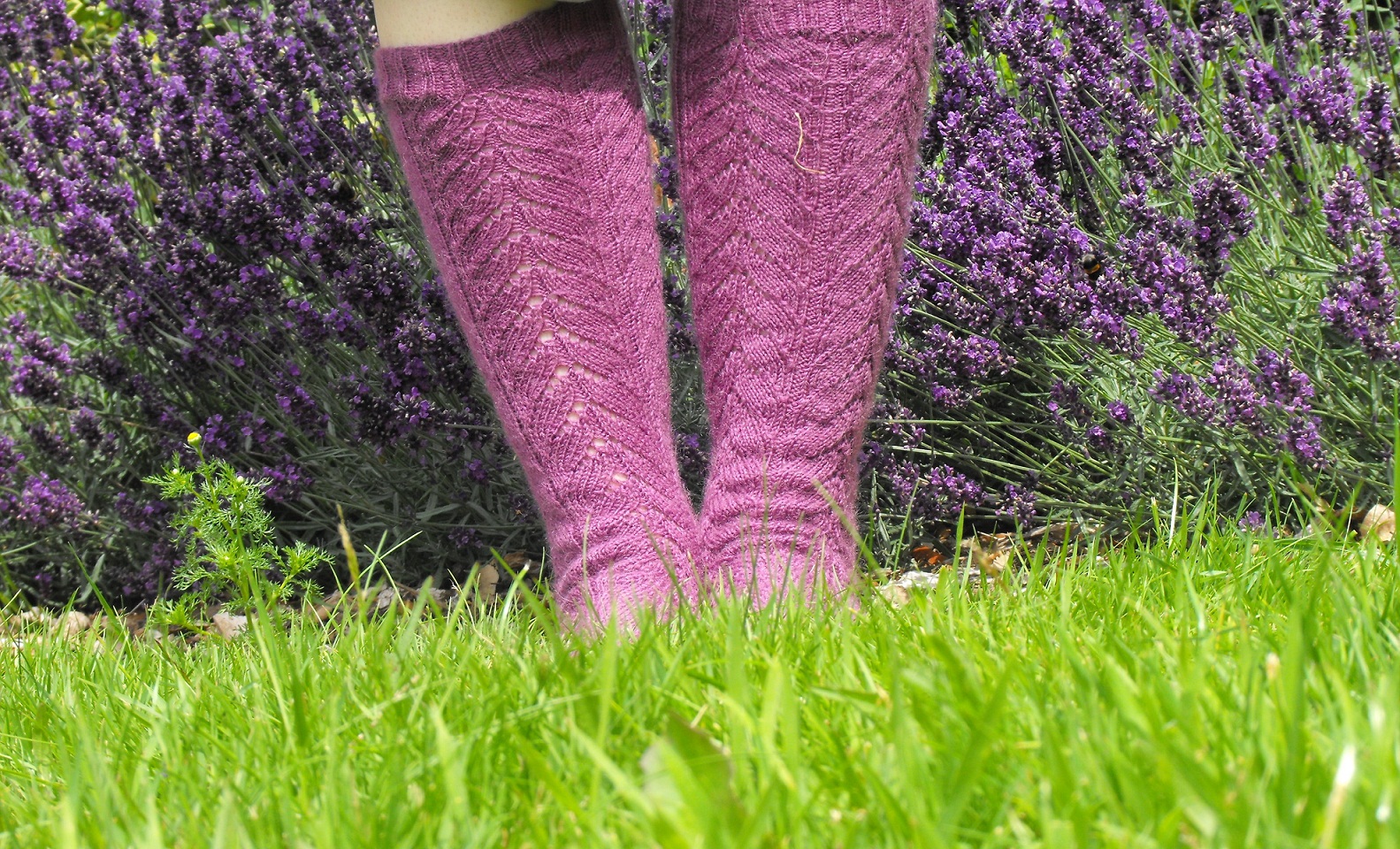 timrava - knit and grow ...: pattern lavender socks