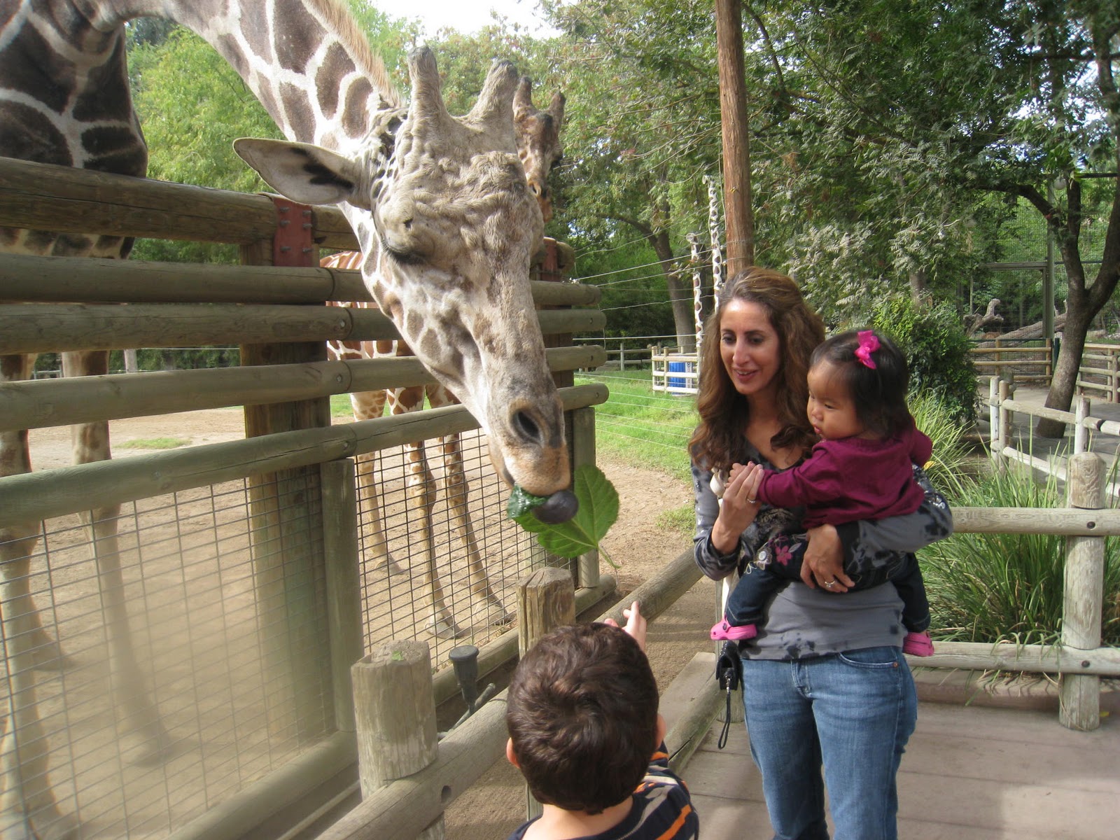 There's no place like home: Zoo