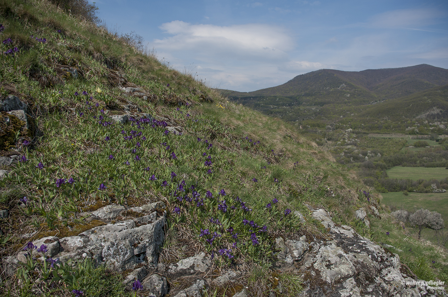 Nature photos from an Amateur Naturalist: Zemplén Mountains, Hungary ...