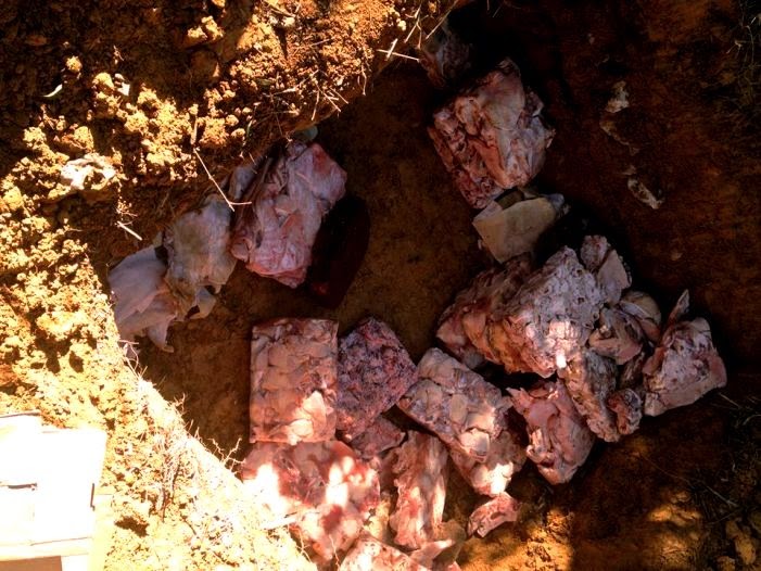 Thousands Of Kilos Of Double-Dead Meat (Botcha) Confiscated At The ...