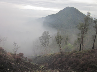 timestravelerstales: Road Trip East Java - Bali