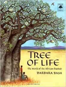 Aloha from Hawaii: The Baobab Tree