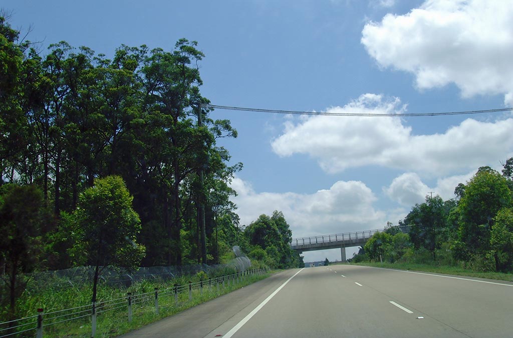 World's first Crab Bridge saves lives. : r/australia