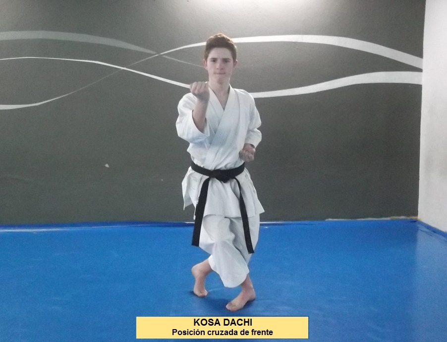 KARATE SHITO RYU ASTURIAS: Posiciones de Karate (Tachi Kata).