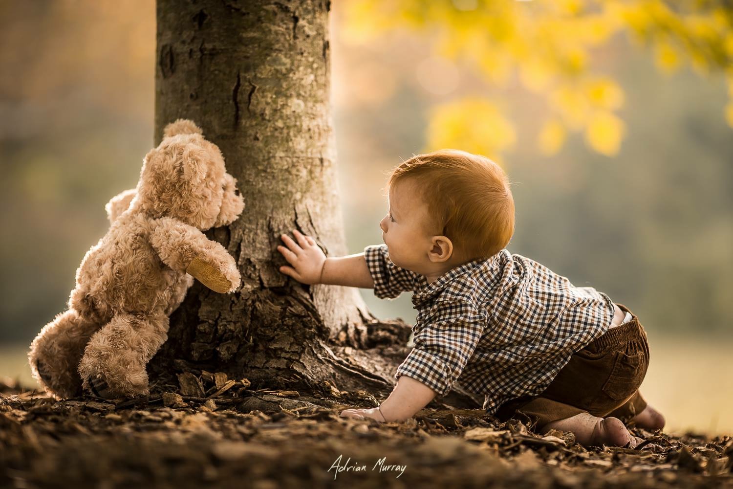 El Maestro de la Realidad - ON LINE : LA INOCENCIA