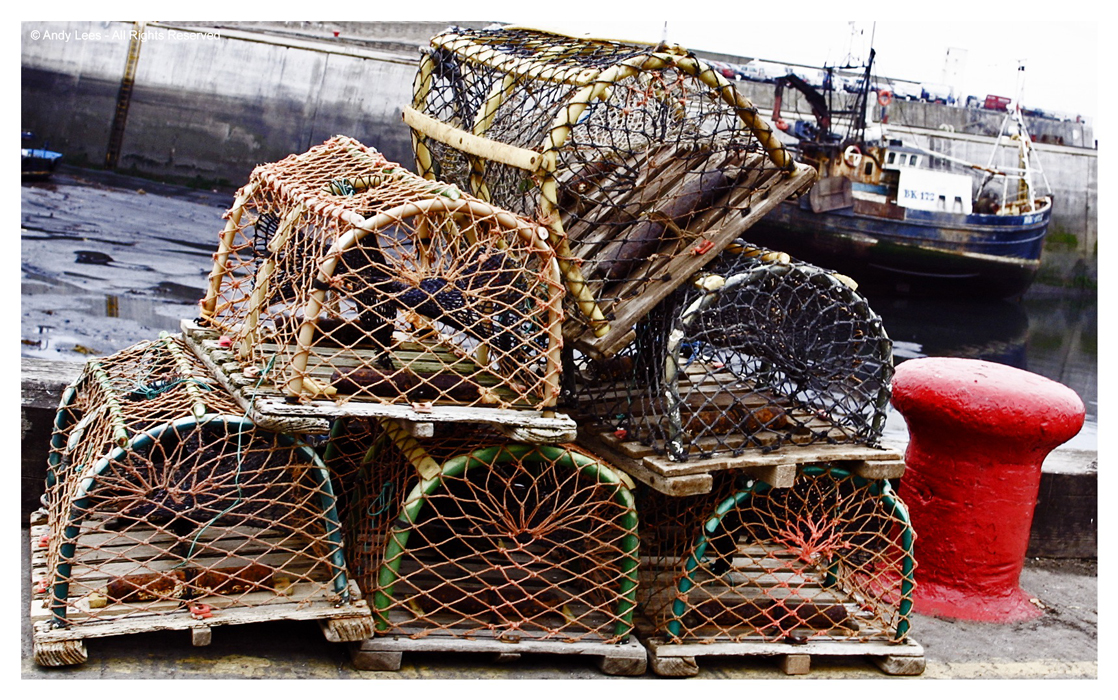 In Focus With The World: May 2012