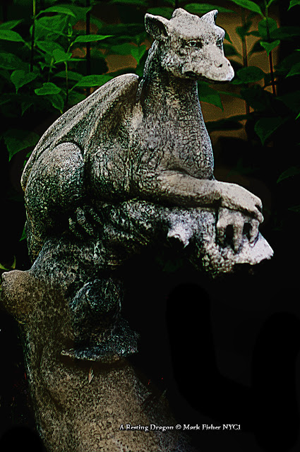 Mark Fisher American Photographer™: A Resting Dragon • American ...