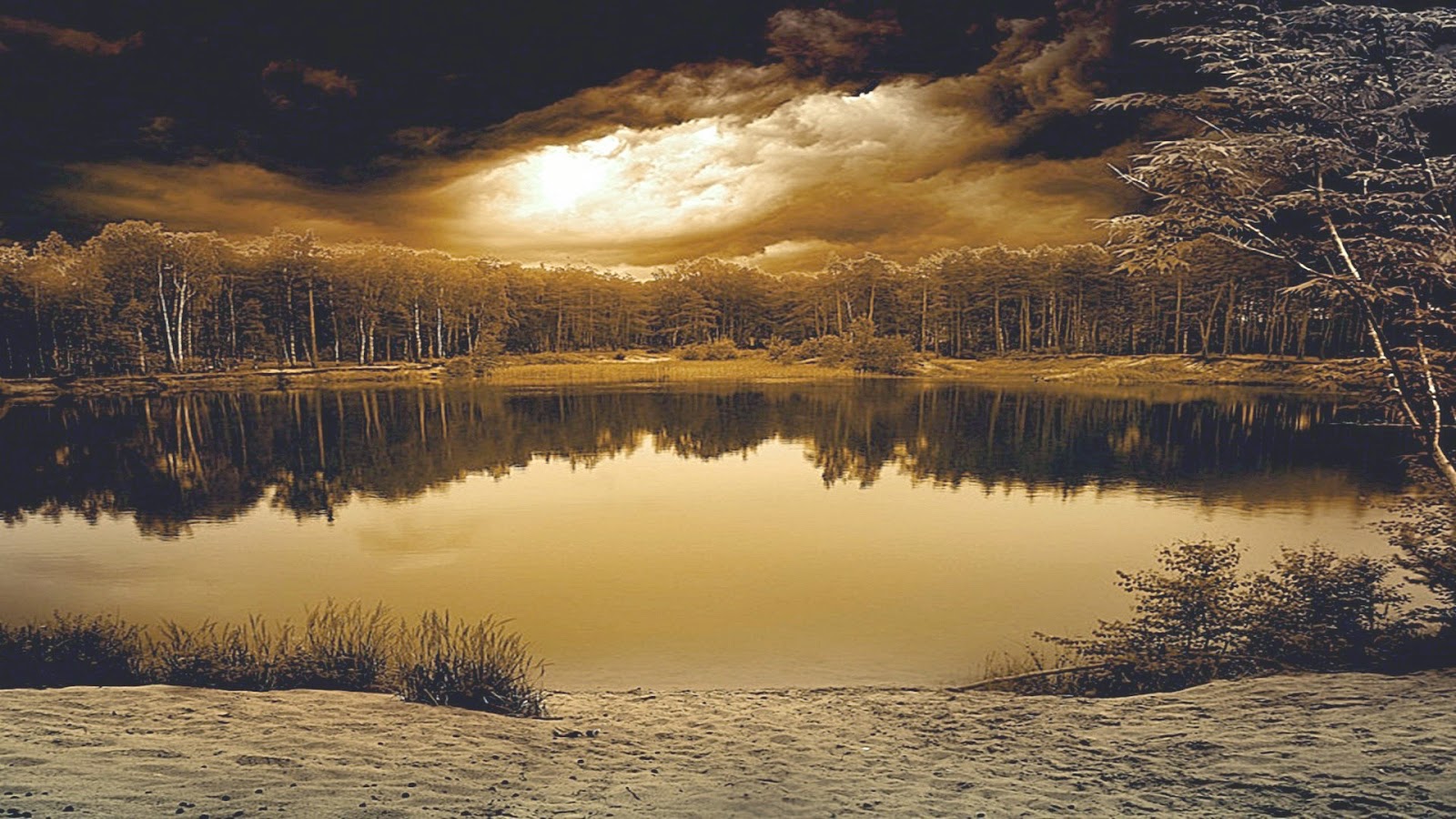 AS MAIS BELAS IMAGENS DA NATUREZA